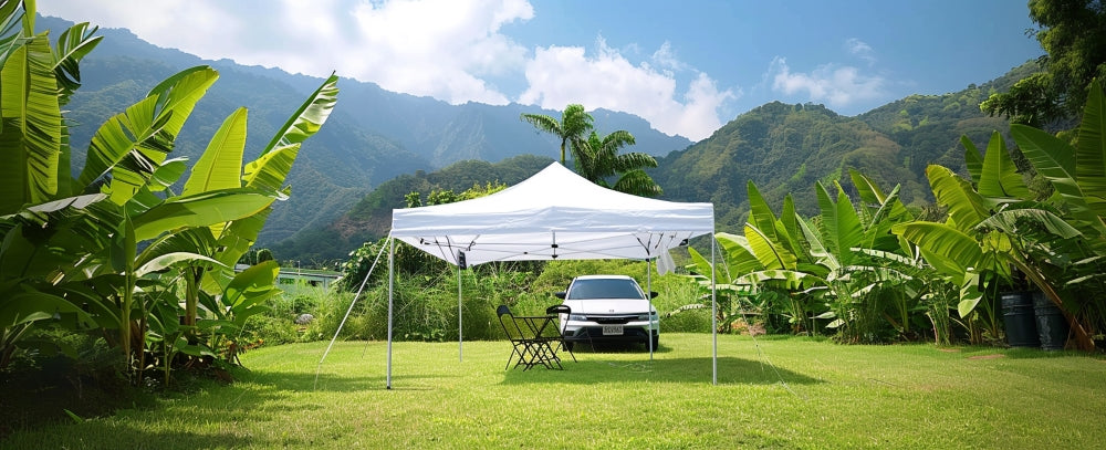 The Ultimate Guide to Pop-Up Canopies: Versatile Shelter for Every Occ ...